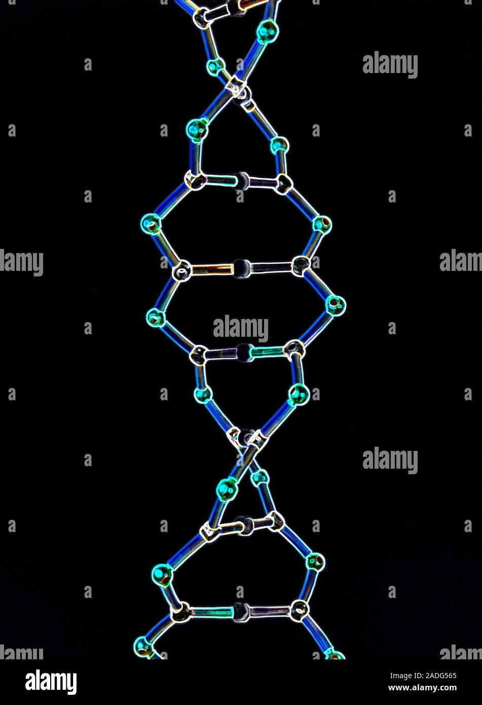 DNA. Conceptual model of deoxyribonucleic acid (DNA), the molecule that ...