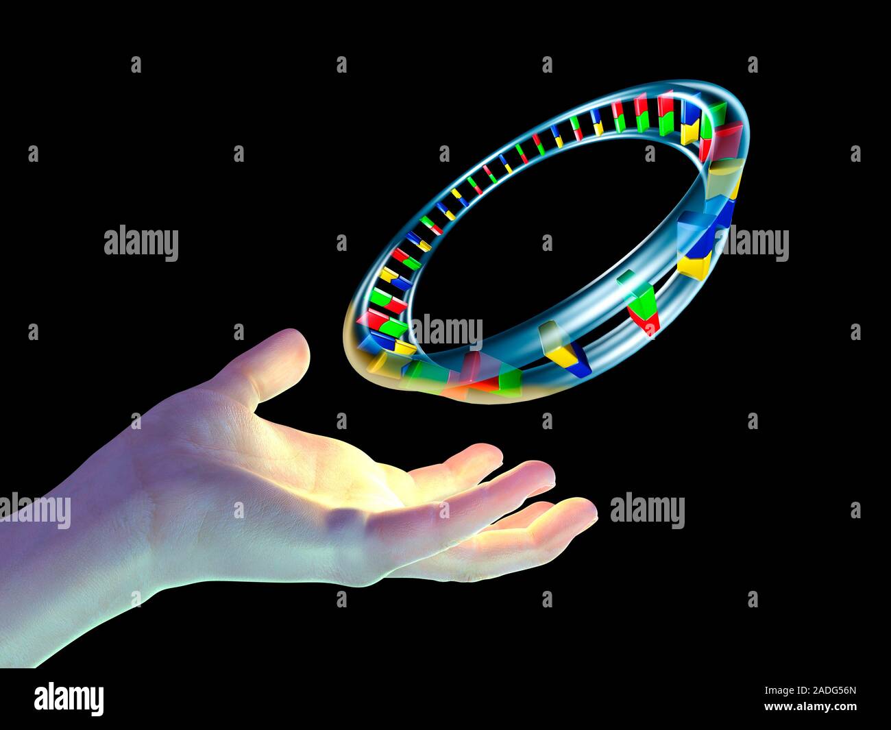 Mitochondrial Eve. Conceptual computer artwork of a circular molecule ...
