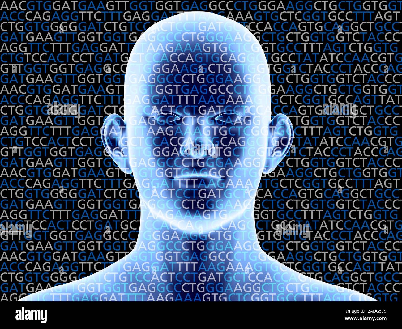 Genetic code. Conceptual computer artwork of letters representing the ...