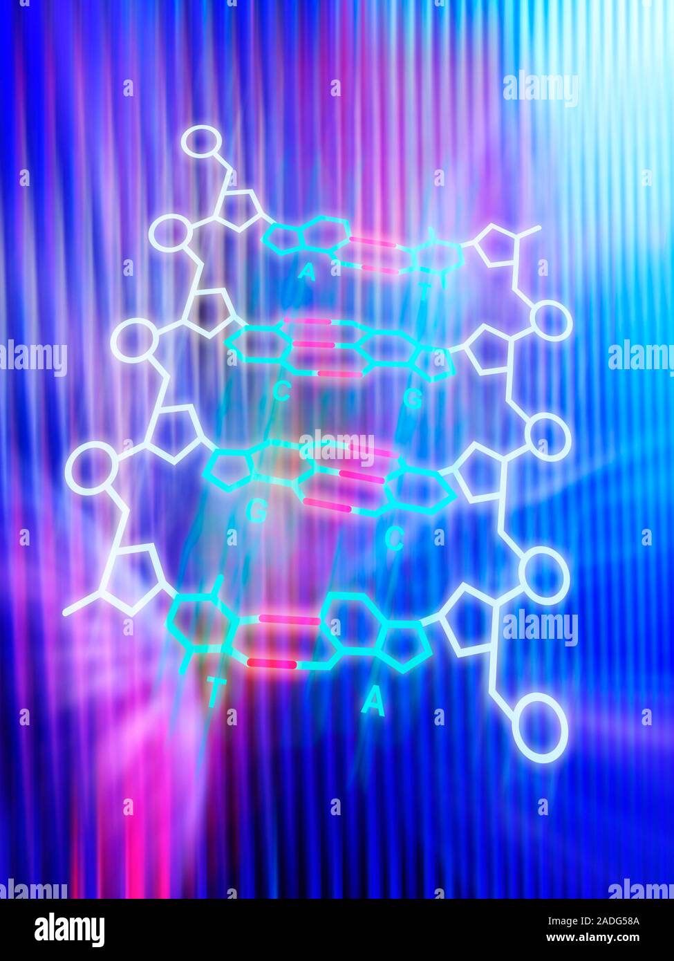 xDNA molecule. Computer artwork of a molecule of expanded ...