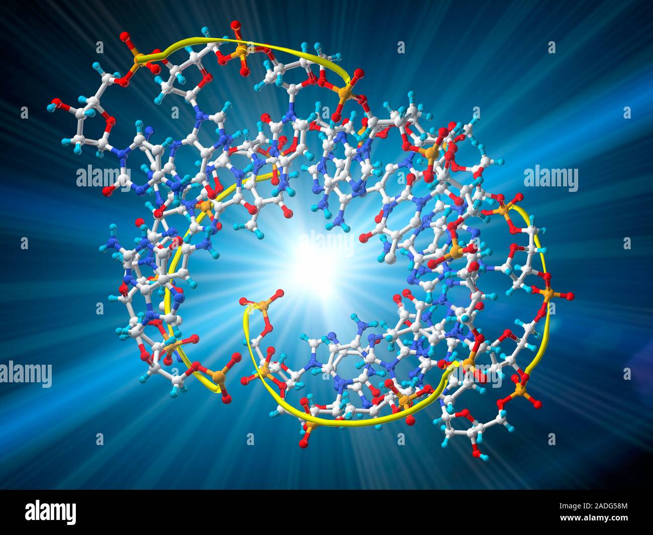 TNA molecule. Computer artwork of threose nucleic acid (TNA). TNA is a ...
