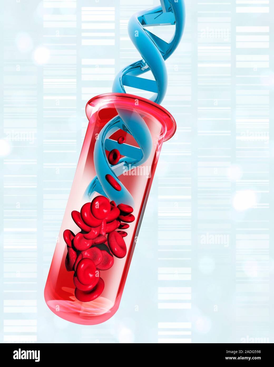 DNA and red blood cells in a test tube, conceptual computer artwork. In ...