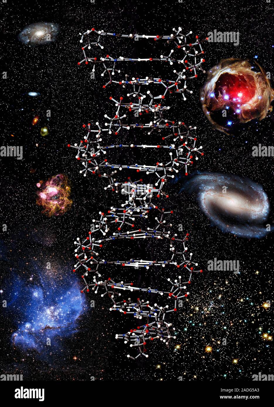Genetic universe. Computer artwork of a molecule of DNA ...