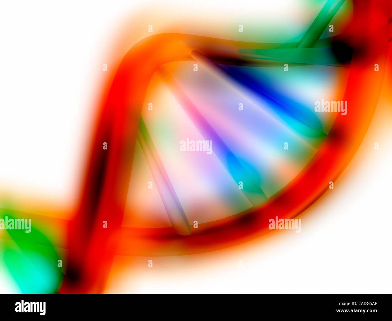 DNA helix. Computer artwork of a strand of DNA (deoxyribonucleic acid ...