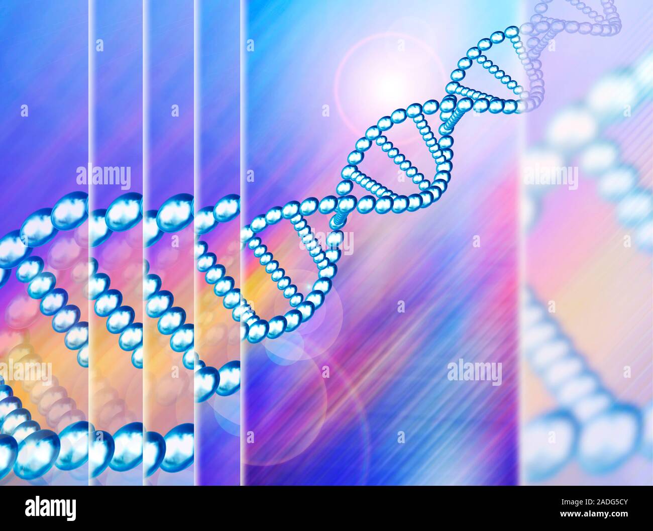 DNA, computer artwork. DNA (deoxyribonucleic acid) is the molecule that ...