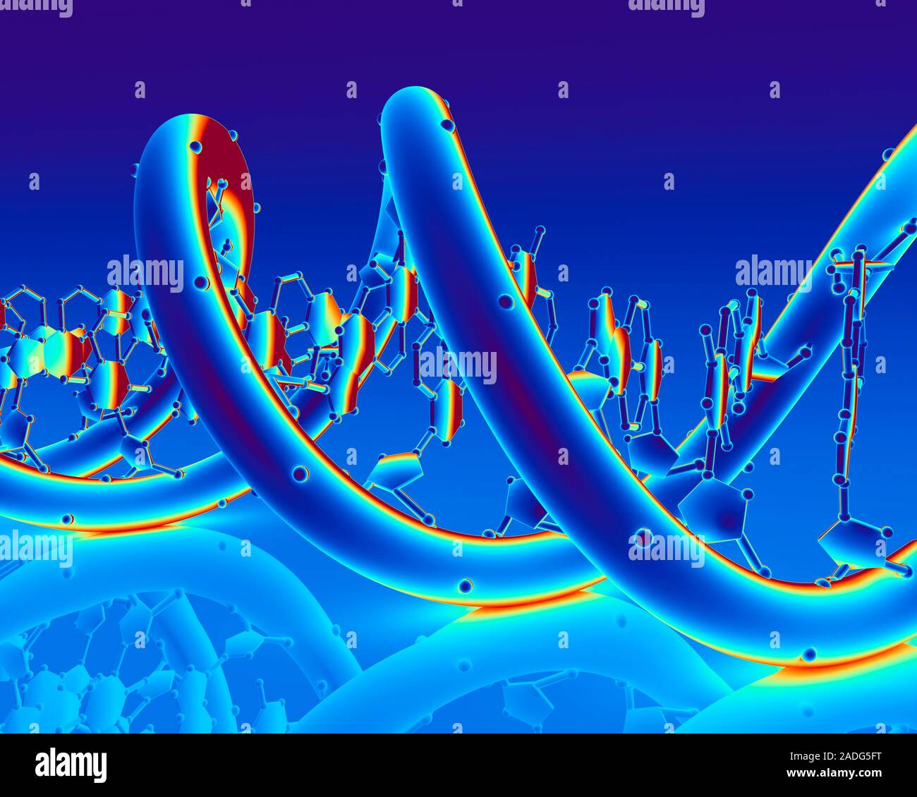 DNA molecule. Computer artwork of a molecule of deoxyribonucleic acid ...