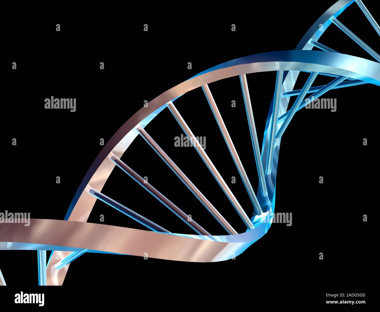 DNA molecule. Computer artwork of a molecule of deoxyribonucleic acid ...