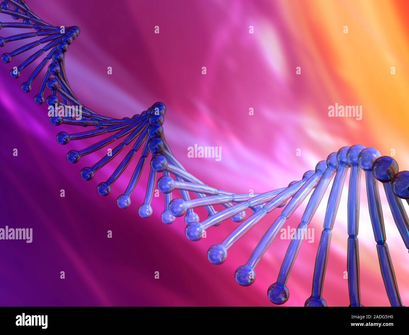 DNA molecule. Computer artwork of a molecule of deoxyribonucleic acid ...