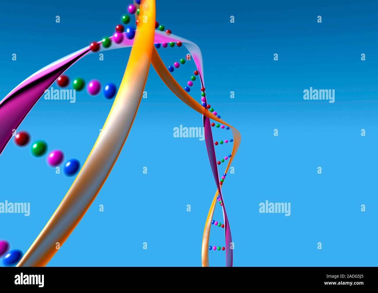 DNA molecule. Computer artwork of a molecule of deoxyribonucleic acid ...