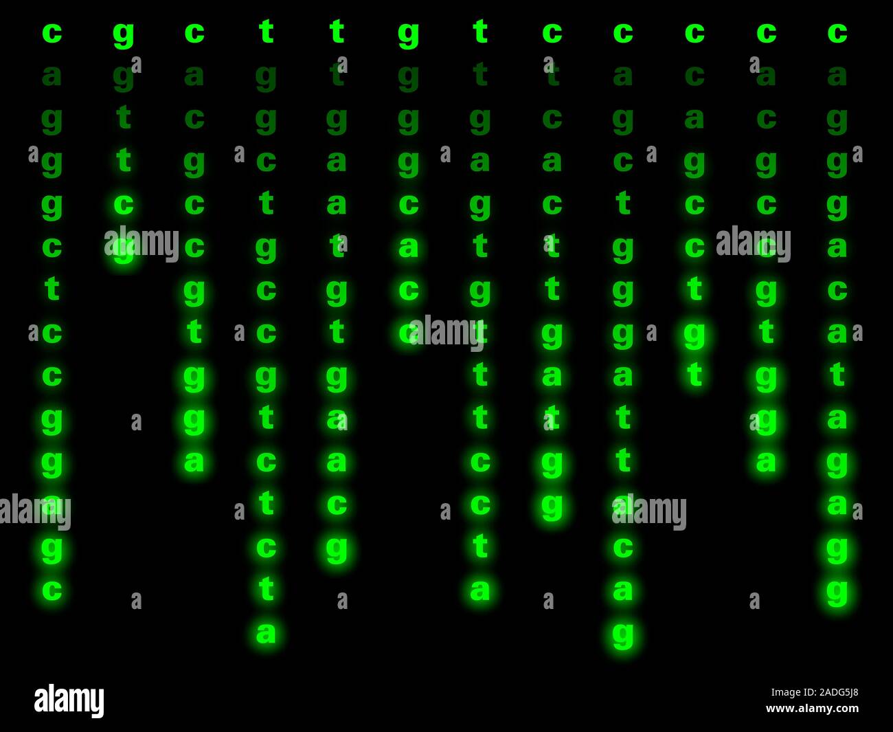 Genetic code, computer artwork. These letters represent the four ...