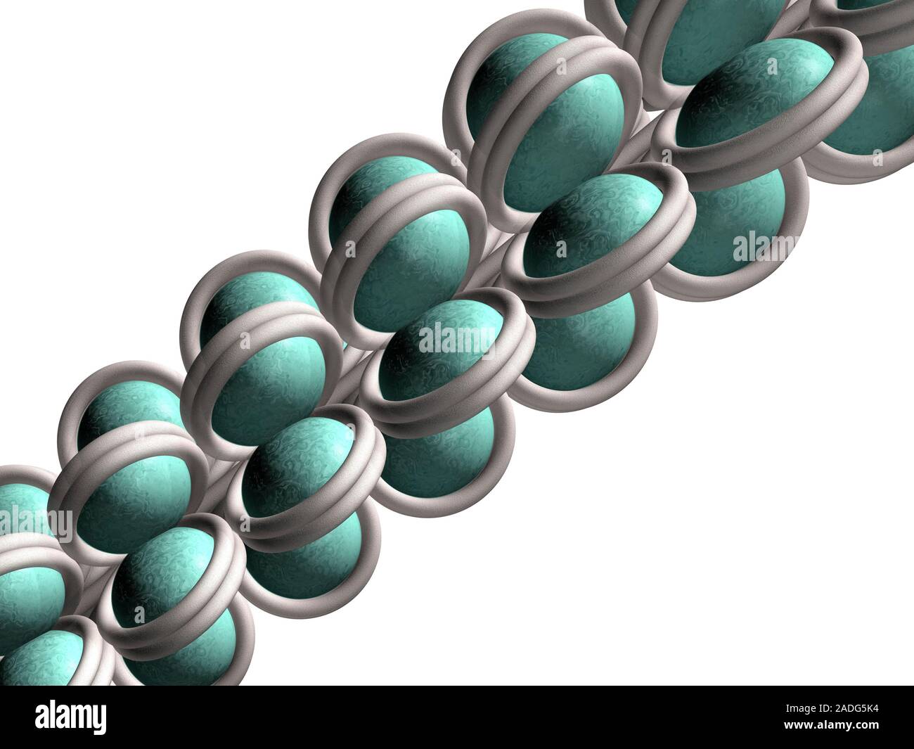 Chromatin fibre. Computer artwork of strands of DNA (deoxyribonucleic ...
