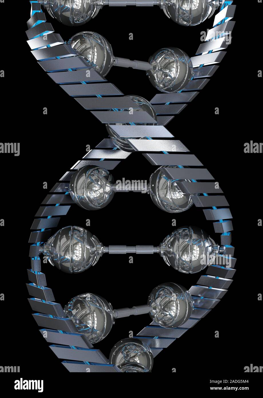 DNA molecule, computer artwork. DNA (deoxyribonucleic acid) is composed ...