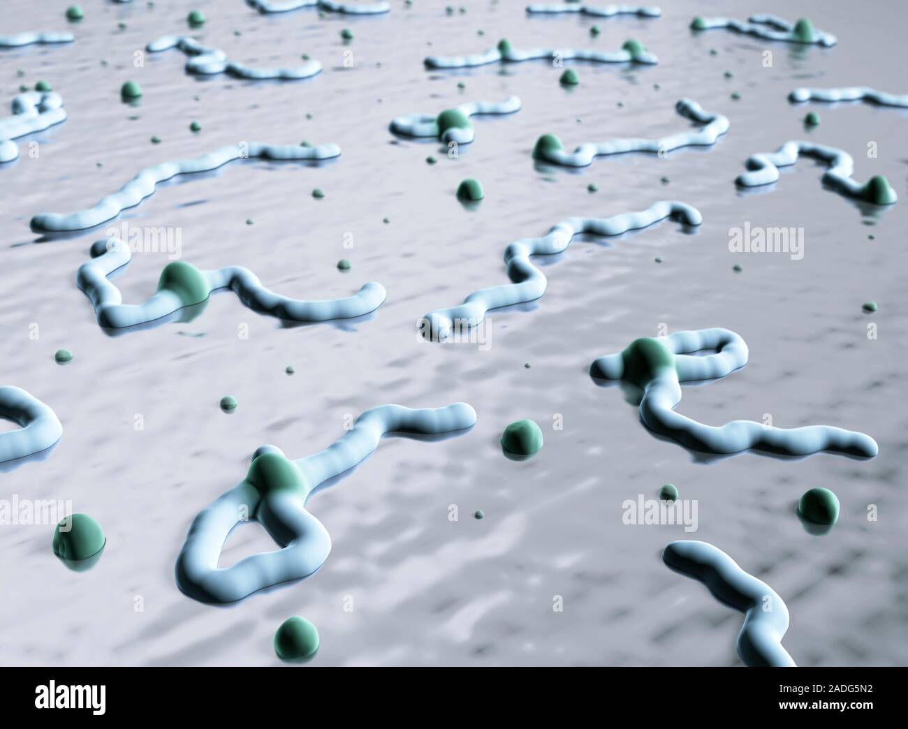 DNA and restriction enzyme. Computer artwork of double-stranded DNA ...