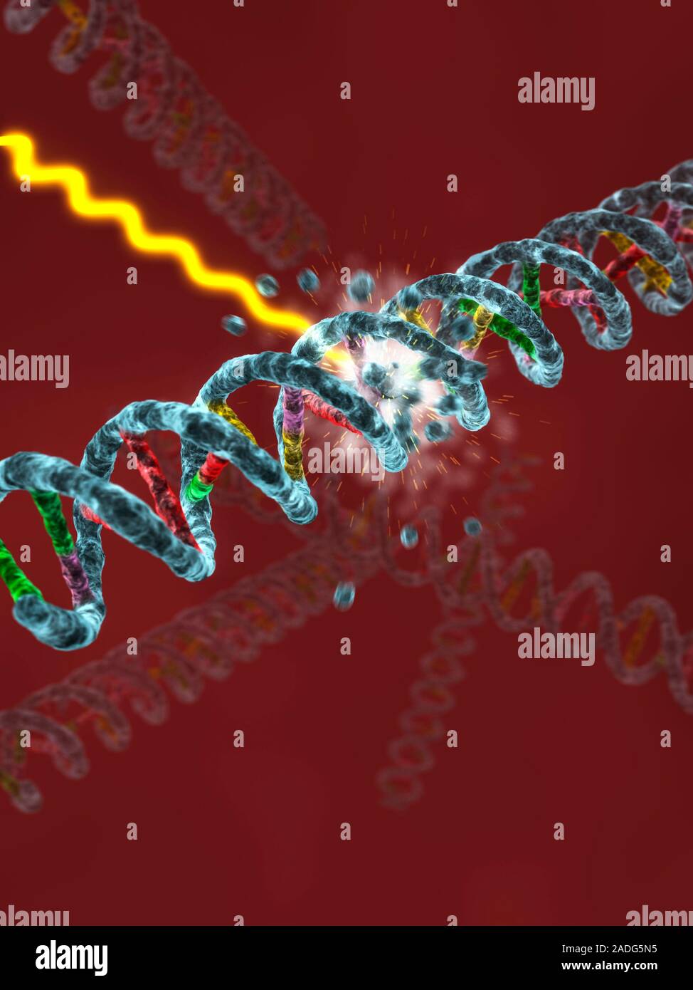 DNA damage. Computer artwork of damage to a molecule of ...