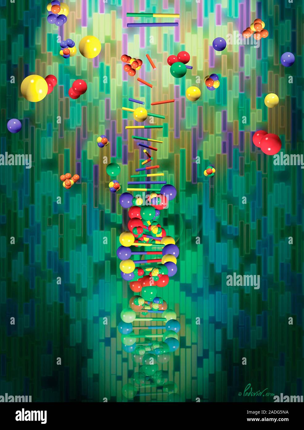 Mapping a genome, conceptual computer artwork. Piecing together the ...