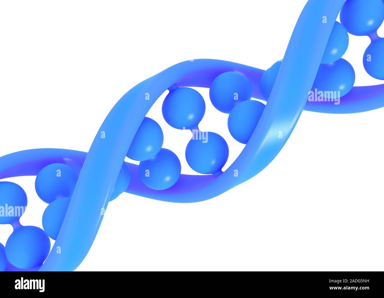 DNA molecule. Computer artwork of a molecule of DNA (deoxyribonucleic ...