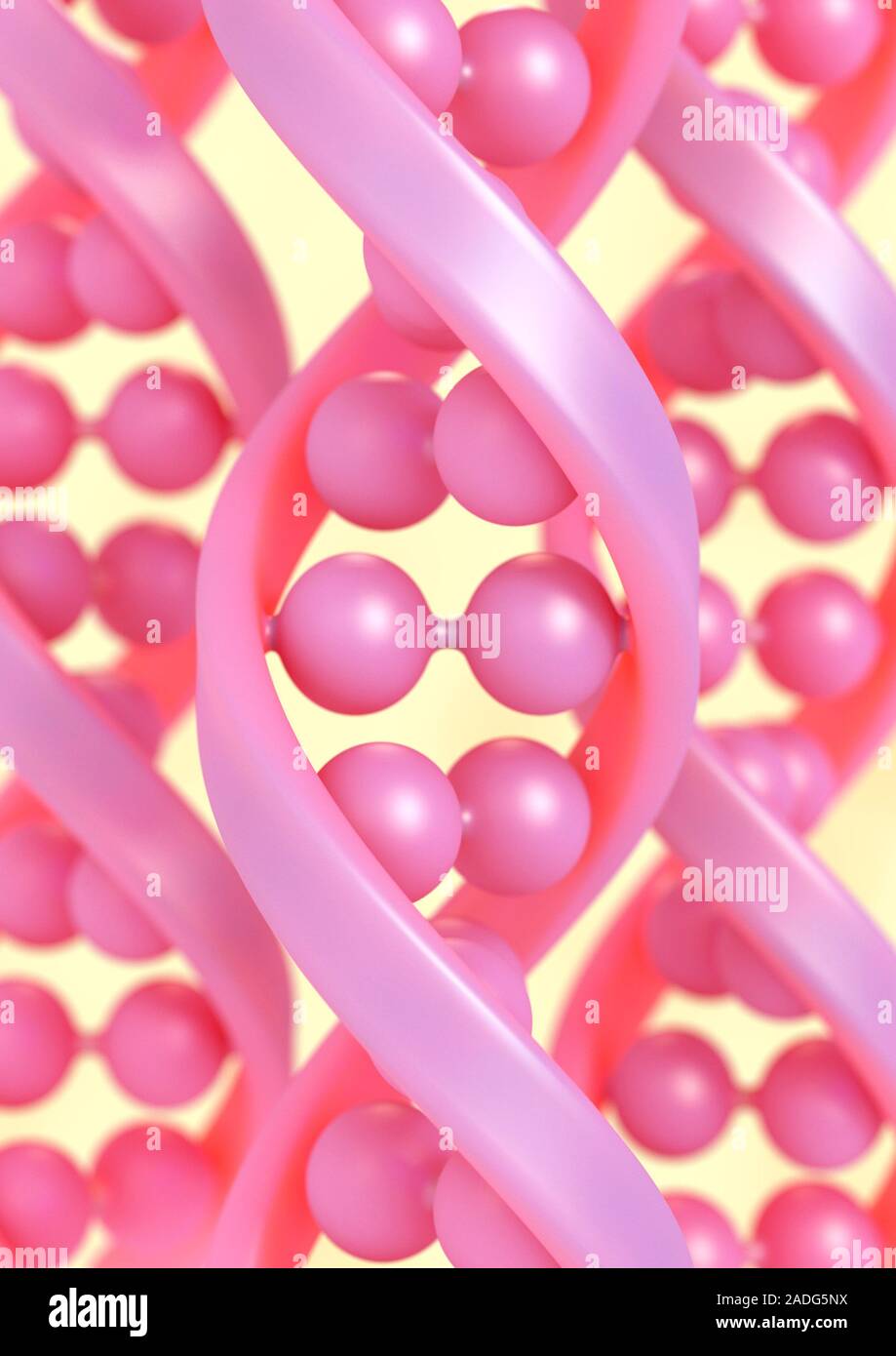 DNA molecules. Computer artwork of molecules of DNA (deoxyribonucleic ...