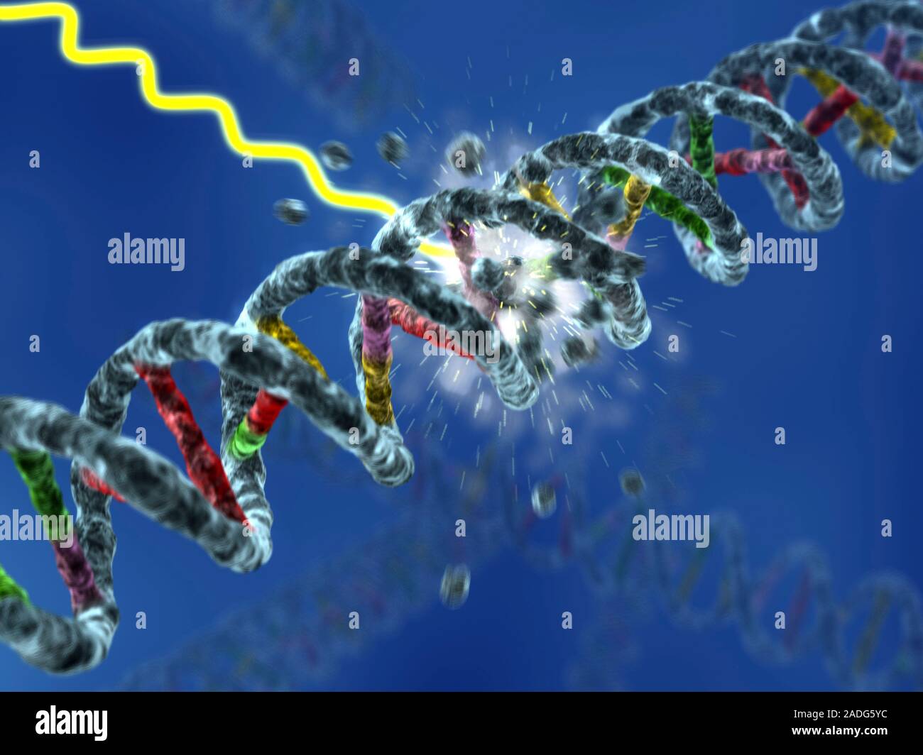 DNA damage. Computer artwork of damage to a molecule of ...