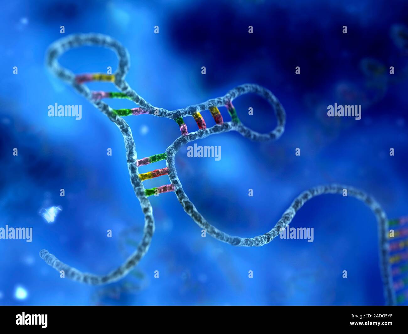 RNA interference (RNAi) is a mechanism of gene expression involving ...