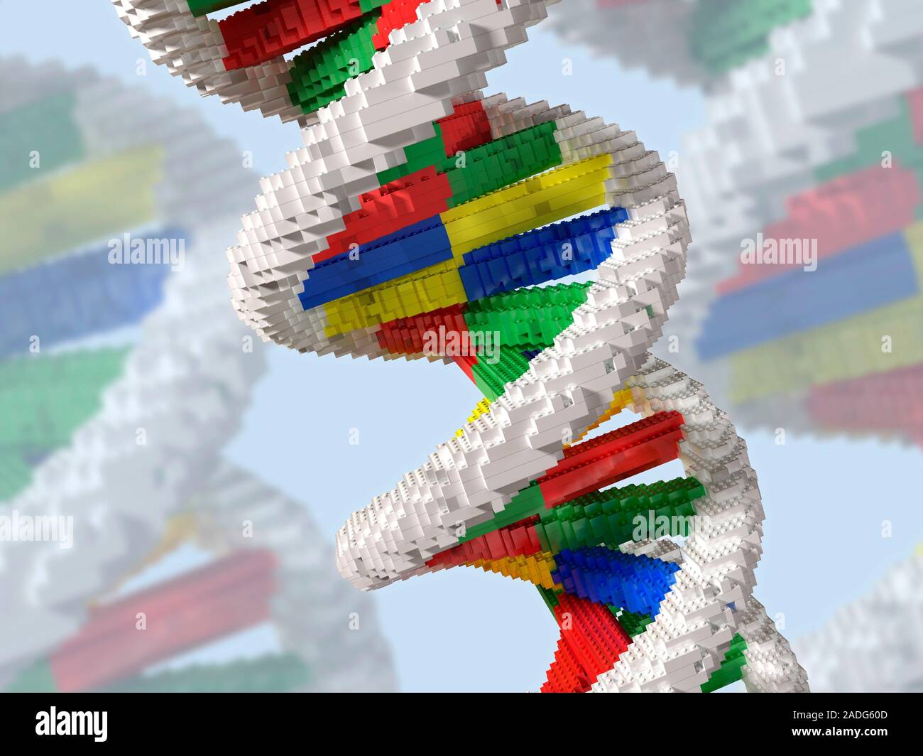 Genetic engineering, conceptual artwork. DNA (deoxyribonucleic acid ...