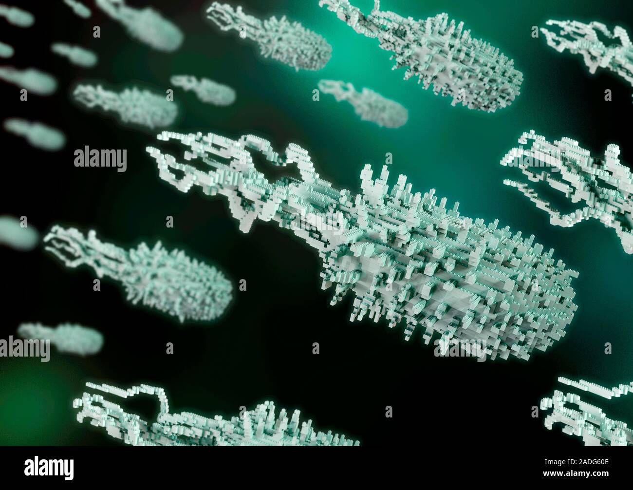Engineered bacteria, conceptual image. Bacteria (green) made out of ...