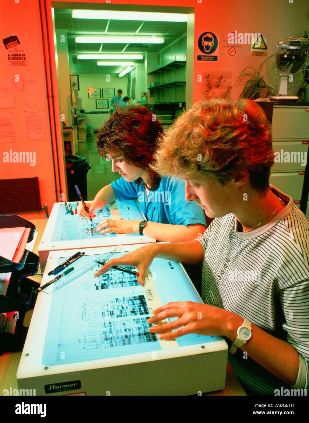 Analysis of DNA fingerprints at ICI Cellmark Diagnostics, Oxfordshire ...