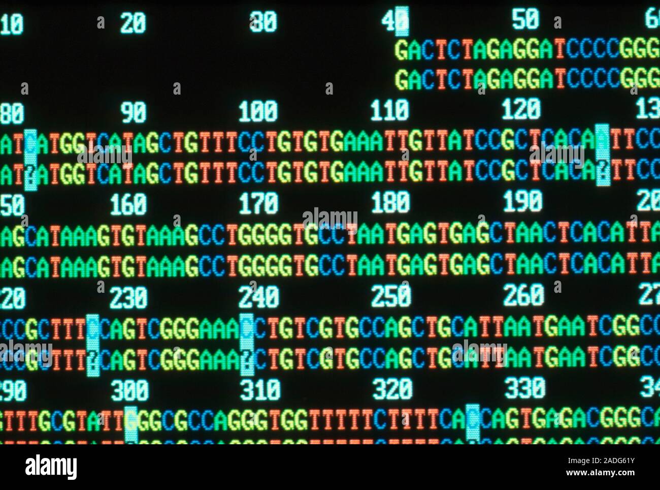 Mapping the human genome: computer analysis of the DNA sequence of the ...