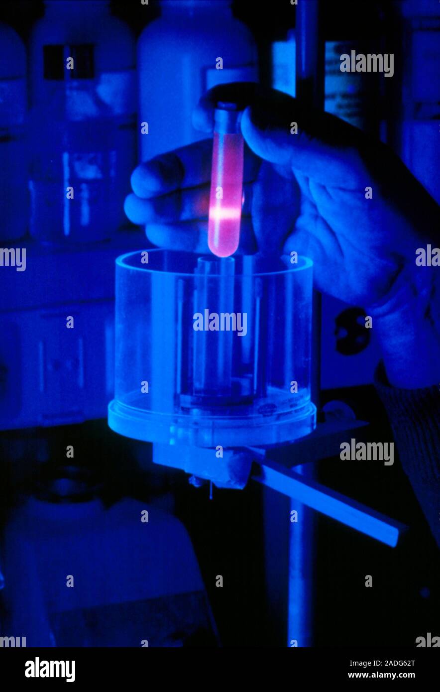 Photograph of a test tube containing DNA marked with a dye that ...