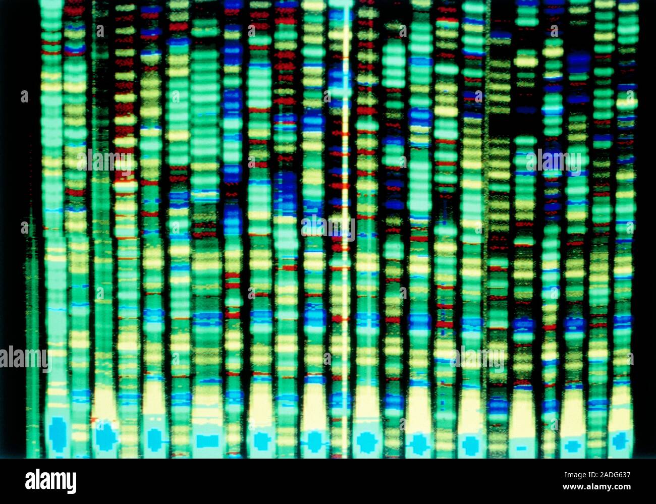 Human genome research: computer analysis of DNA sequencing ...