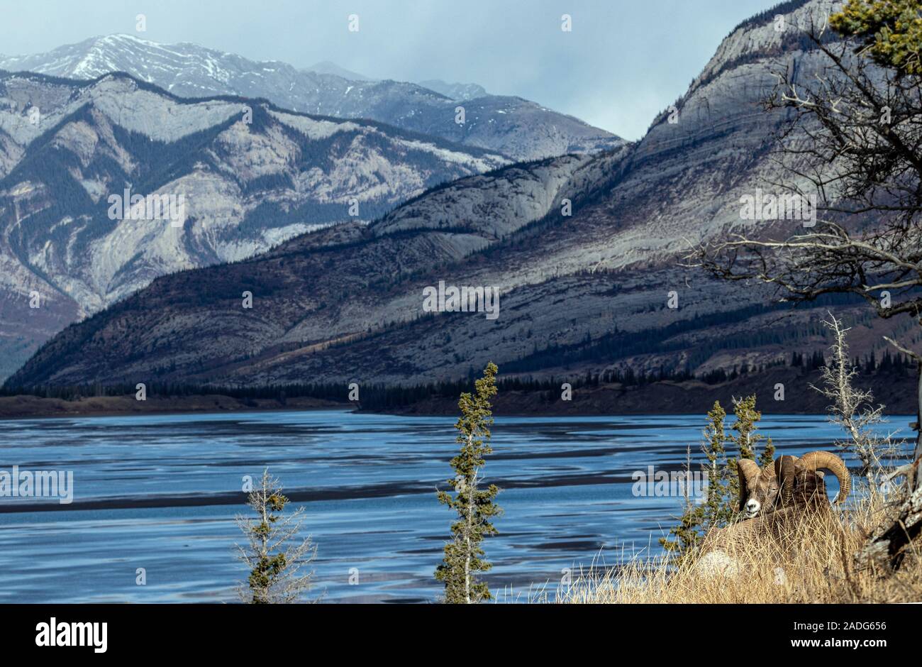 Canada sceneries hi-res stock photography and images - Alamy