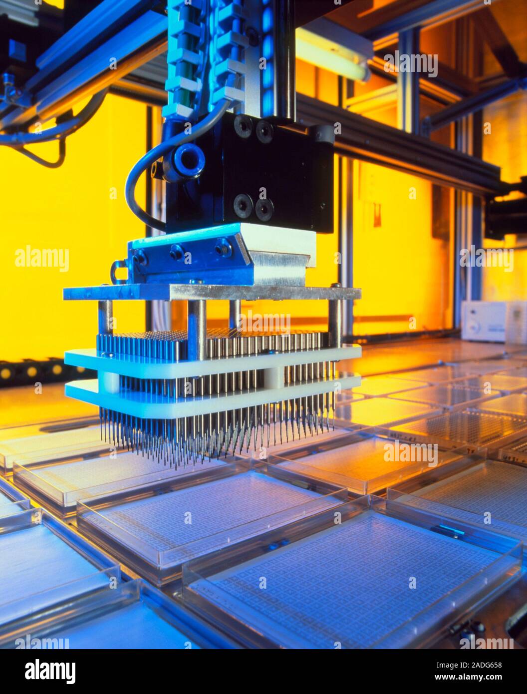 Human genome project. A robot arm loads DNA (deoxyribonucleic acid ...