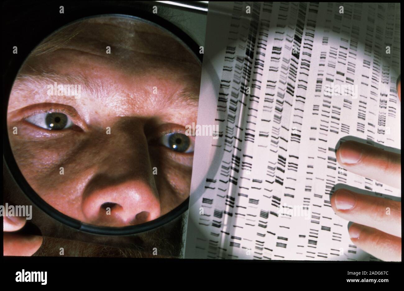 Gene mapping. Male scientist studies a series of DNA sequencing ...