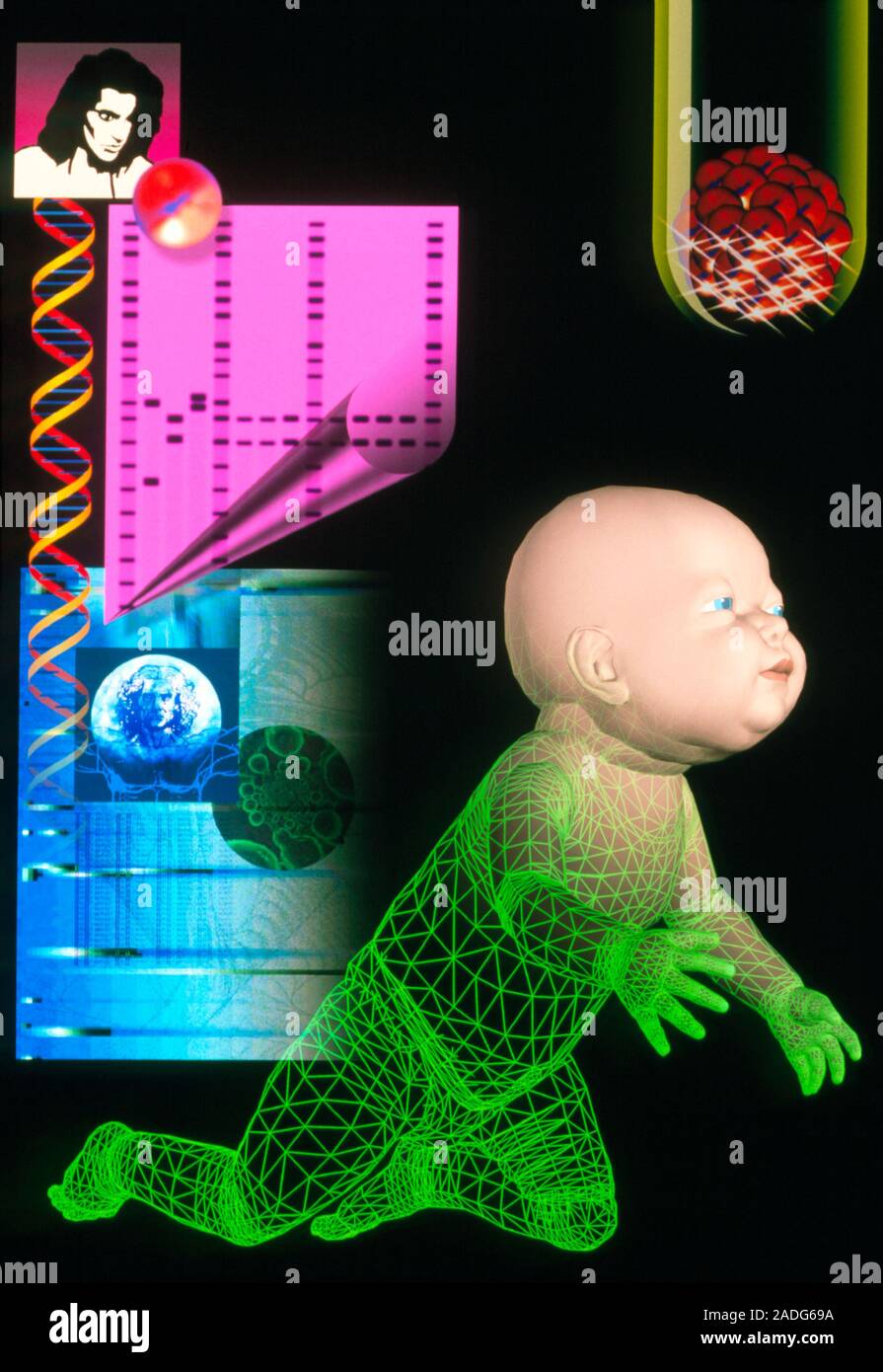 Genetic screening. Computer artwork of the genetic screening of a baby ...
