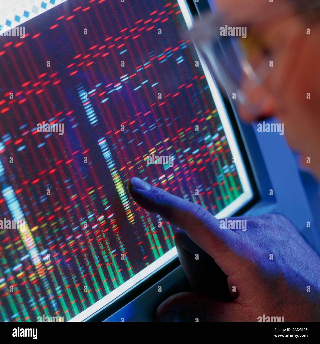 Gene sequencing. Technician studying banded DNA sequences or genetic ...