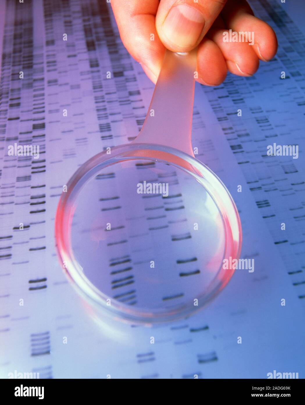 DNA sequence. A hand holding a magnifying glass over a DNA ...