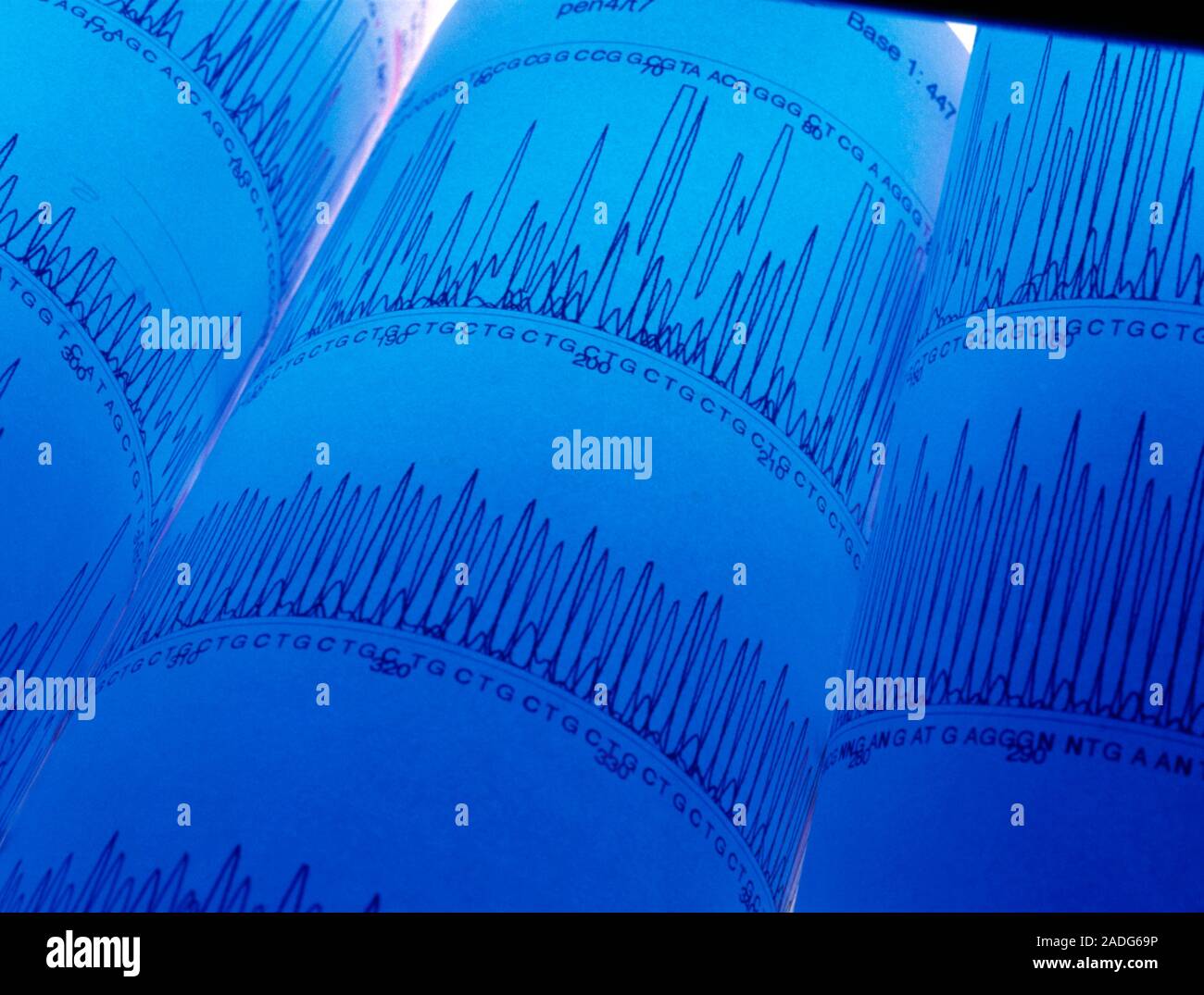DNA sequencing. Computer print-out of the sequence of bases in a sample ...