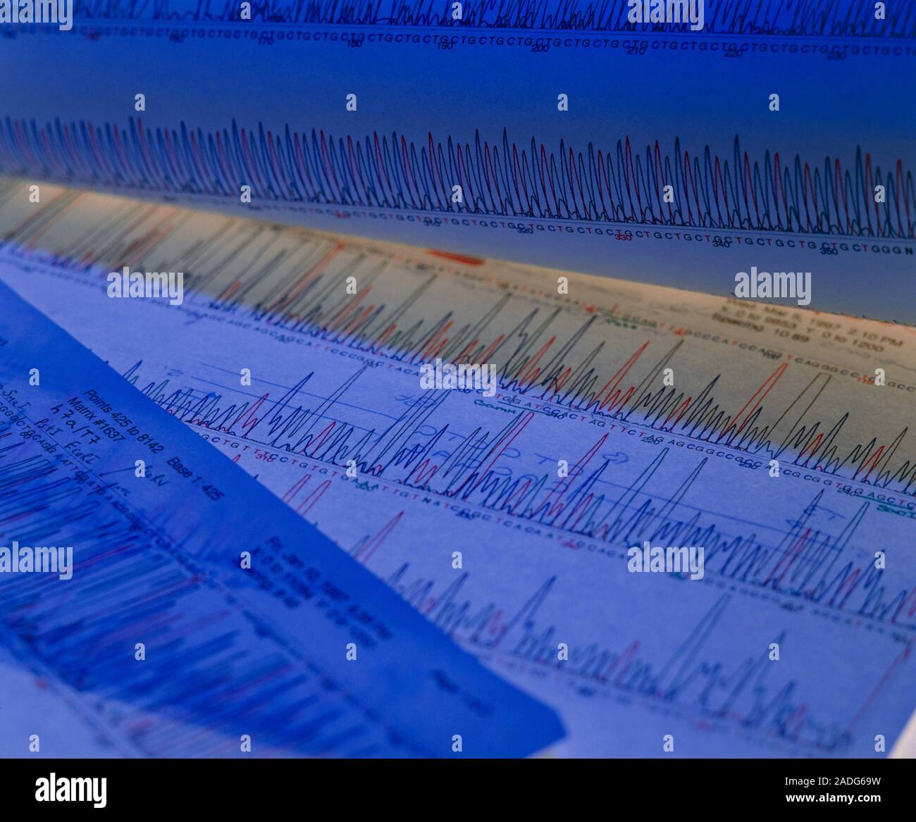 DNA sequencing. Computer print-out of the sequence of bases in a sample ...