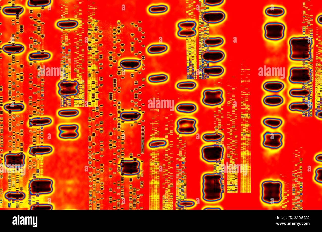 DNA sequences. Computer artwork of an autoradiogram of DNA ...