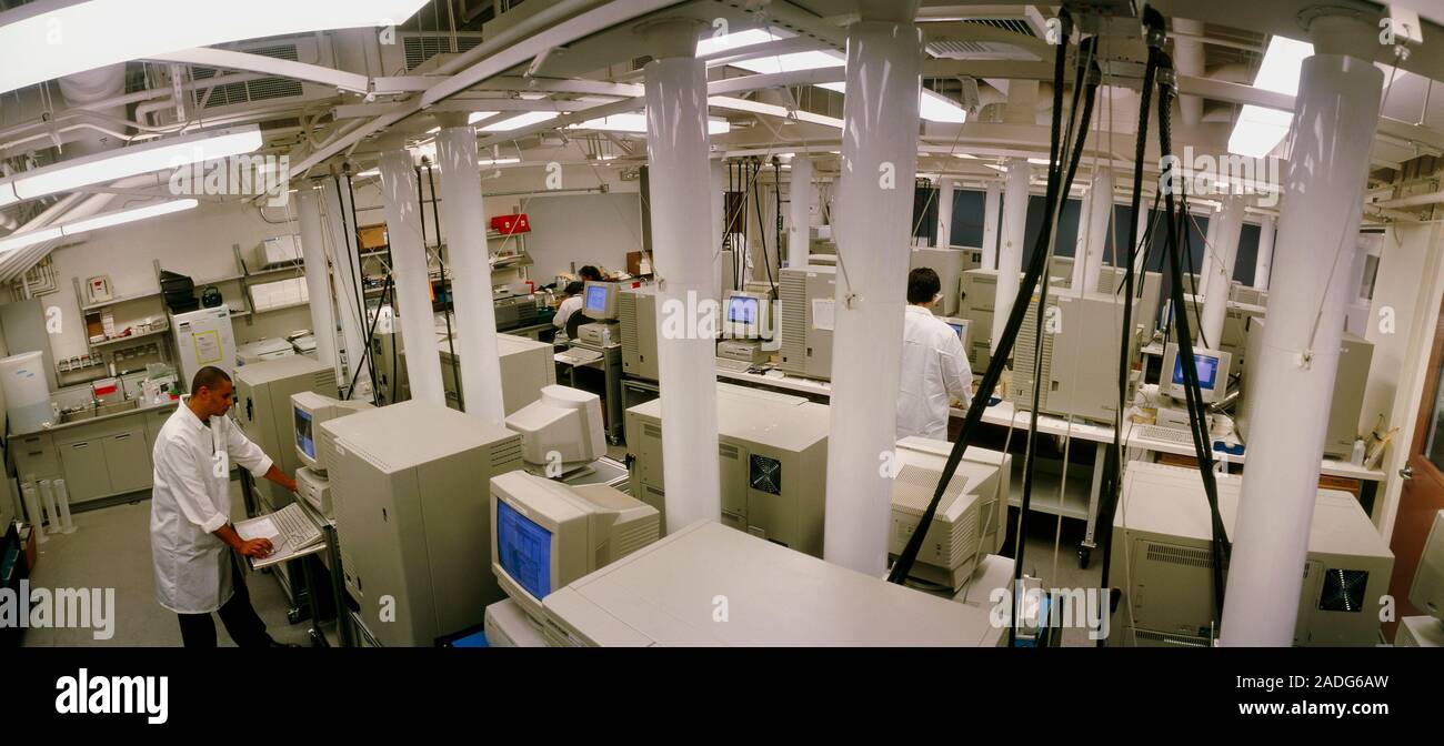 Human genome research. Researchers carrying out DNA sequencing at the ...