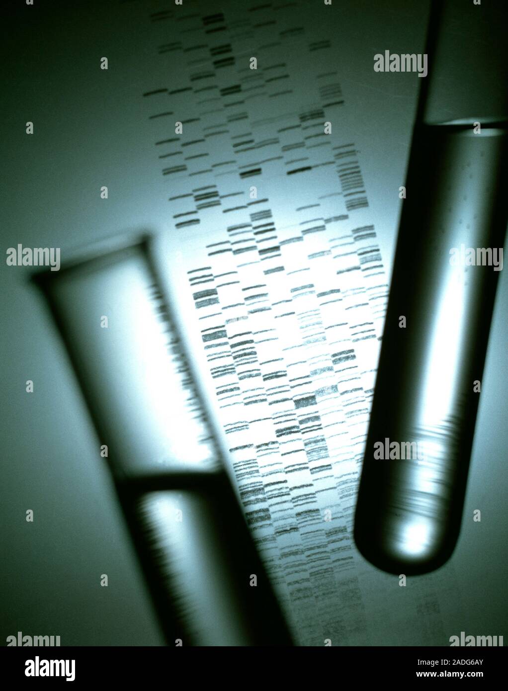 DNA sequence. View of two test tubes filled with clear liquid over an ...