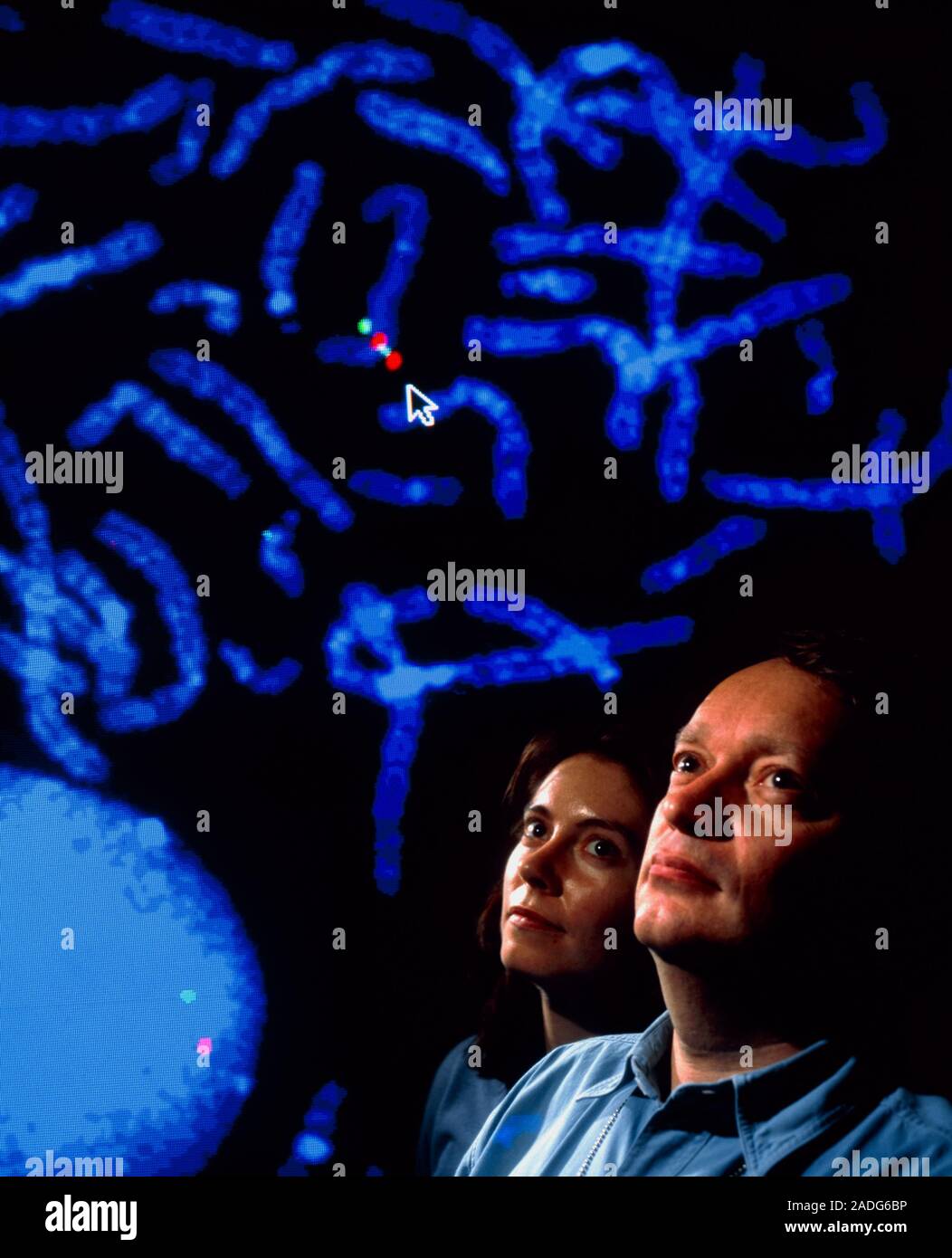 Human genome research. Researchers Dr Nigel Carter and Sheila Clegg ...