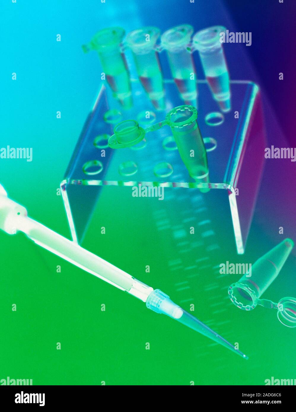 DNA research. Stoppered vials and a vial rack on a DNA ...