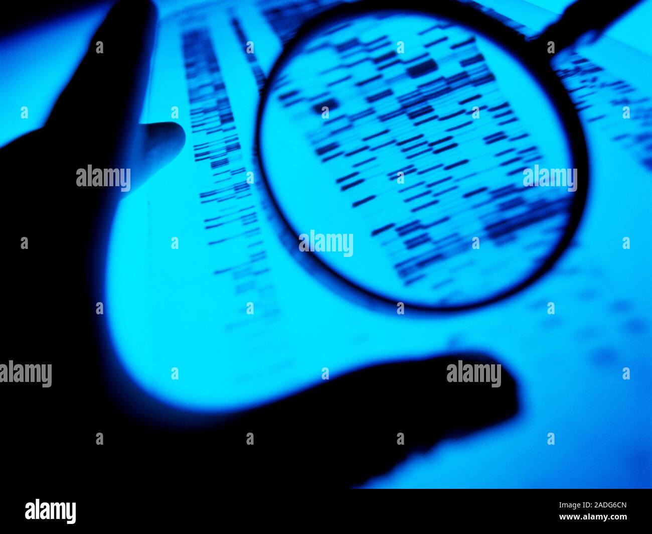 DNA sequencing. Gloved hand and a magnifying glass on the banded DNA ...