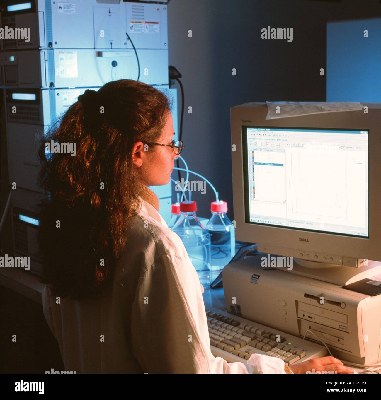 DNA chromatography. Technician analysing DNA (deoxyribonucleic acid ...