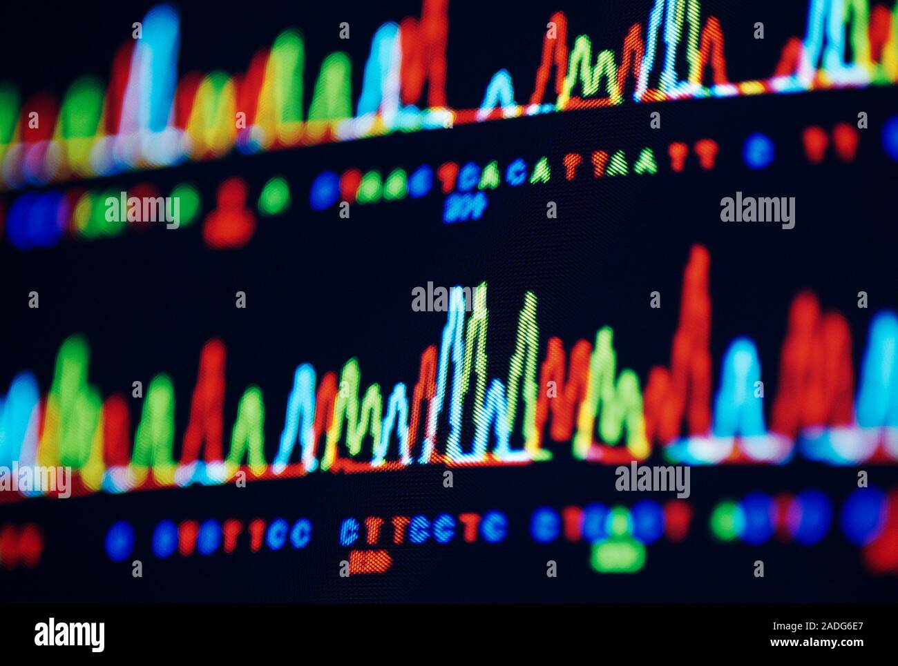 DNA sequence. Computer screen display showing the colour-coded peaks of ...