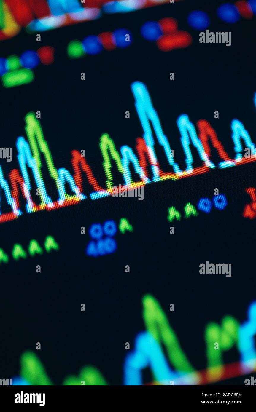 DNA sequence. Computer screen display showing the colour-coded peaks of ...
