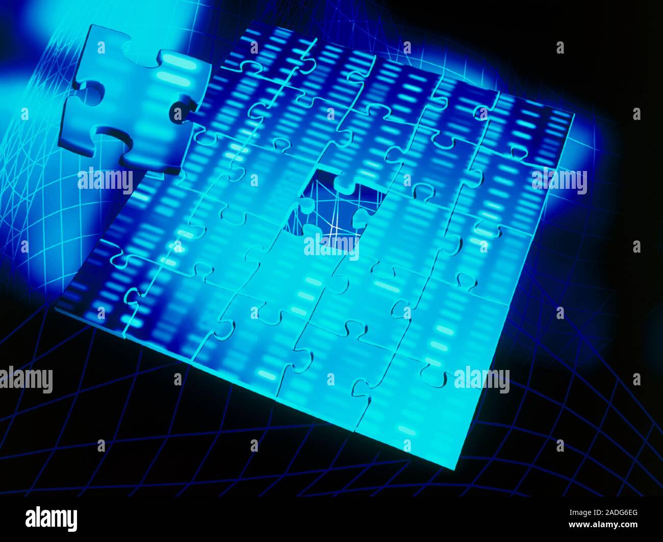 DNA jigsaw. Conceptual computer artwork of the final piece of a DNA ...