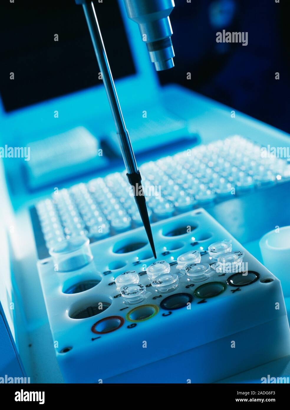 DNA analysis. Automated pipette taking samples from vials for DNA ...