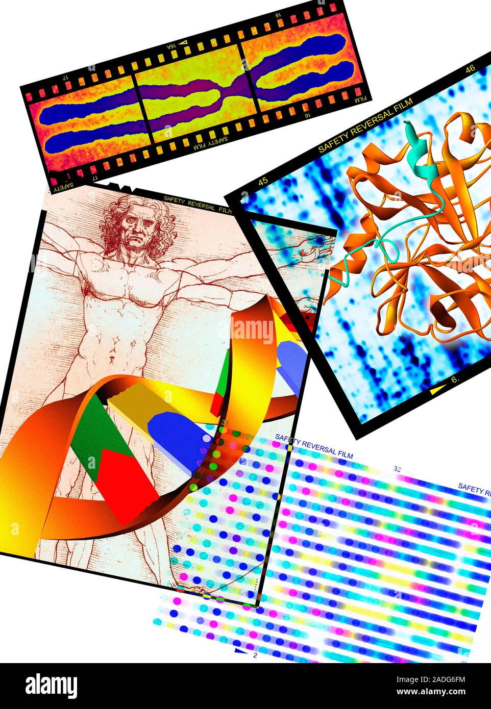 Genetic research. Conceptual computer artwork of genetic and proteomic ...