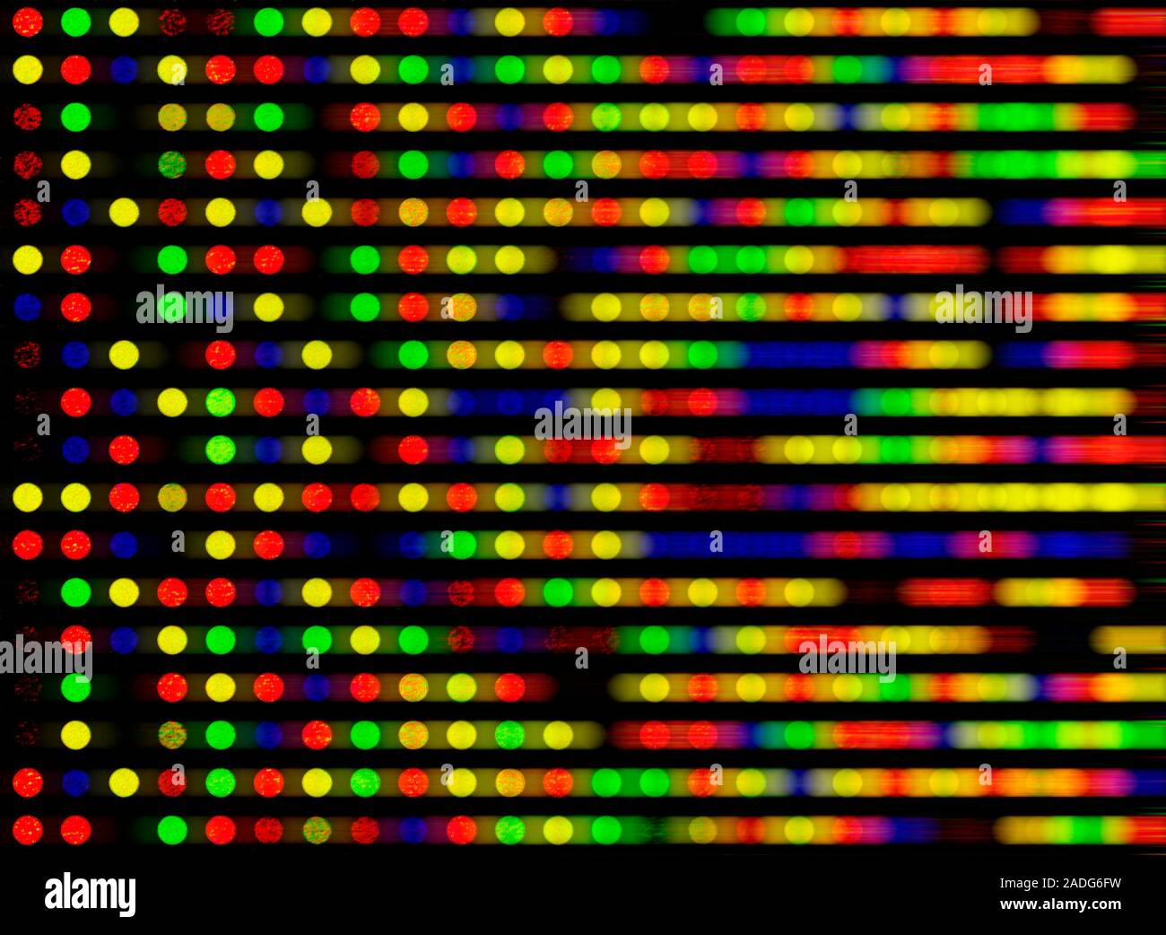 DNA microarray, illustration. DNA (deoxyribonucleic acid) microarray ...